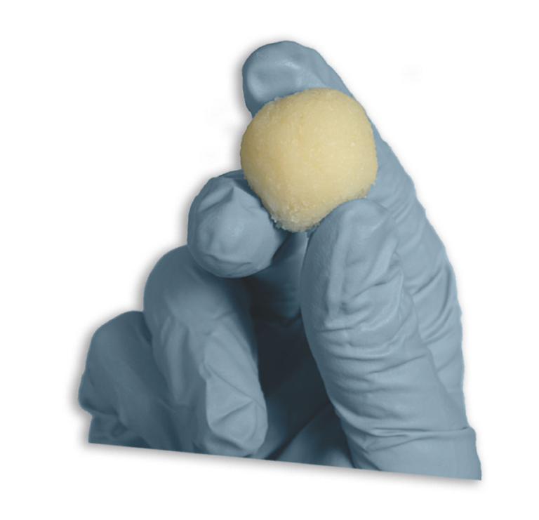 DBM 100 | 100% Demineralized Bone Matrix