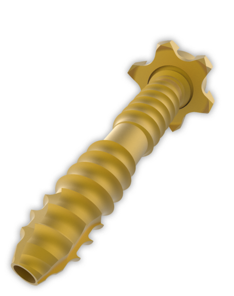 TYPHOON MI™ Transfacet Pedicular Screw Fixation System